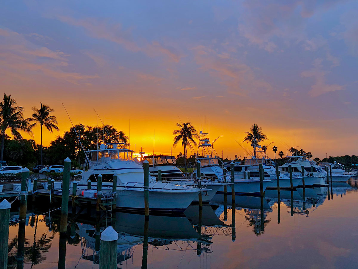 Distinguished downtown | Indian River Magazine