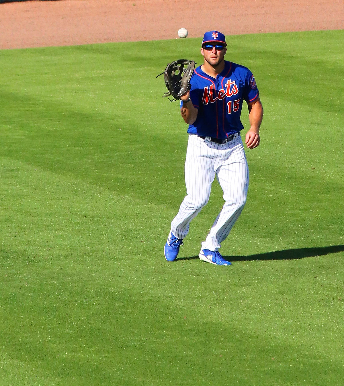 Mets stadium gets makeover, new name | Indian River Magazine