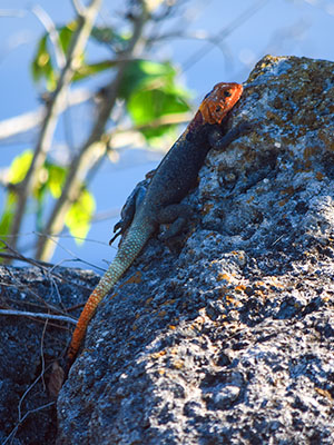 Stay cool by staying afloat during Florida summers