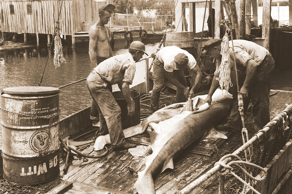 The communities that make up Martin County have a varied history